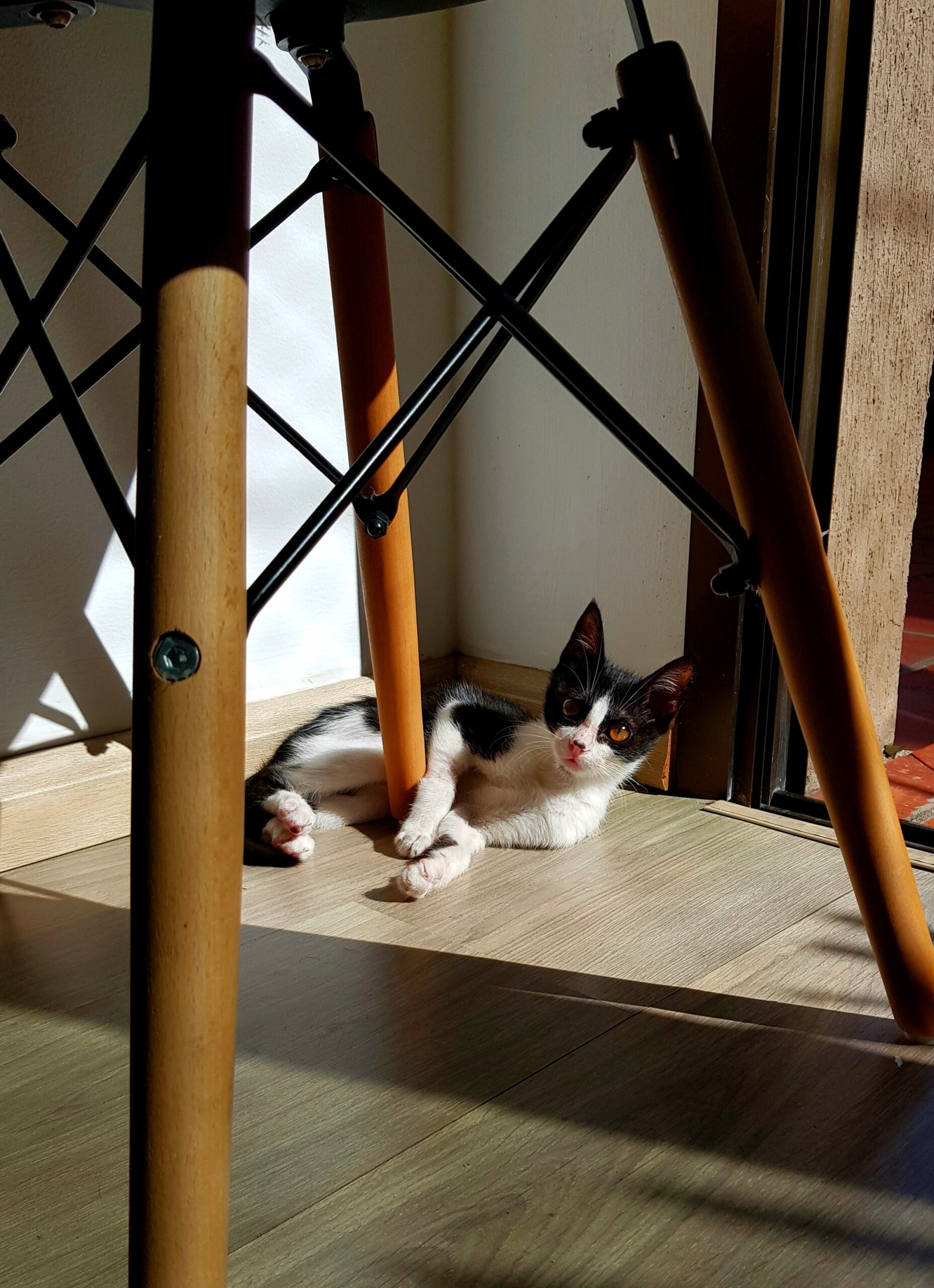 Vinyl – AST Floorcoverings